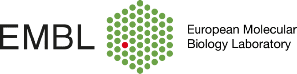 EMBL-IBEC Conference – ENGINEERING MULTICELLULAR SYSTEMS