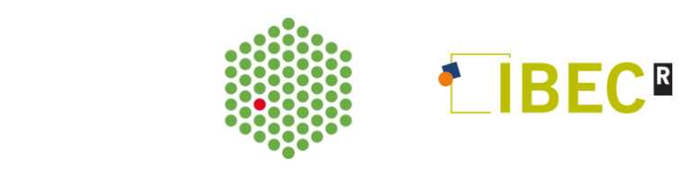 EMBL-IBEC Conference – ENGINEERING MULTICELLULAR SYSTEMS