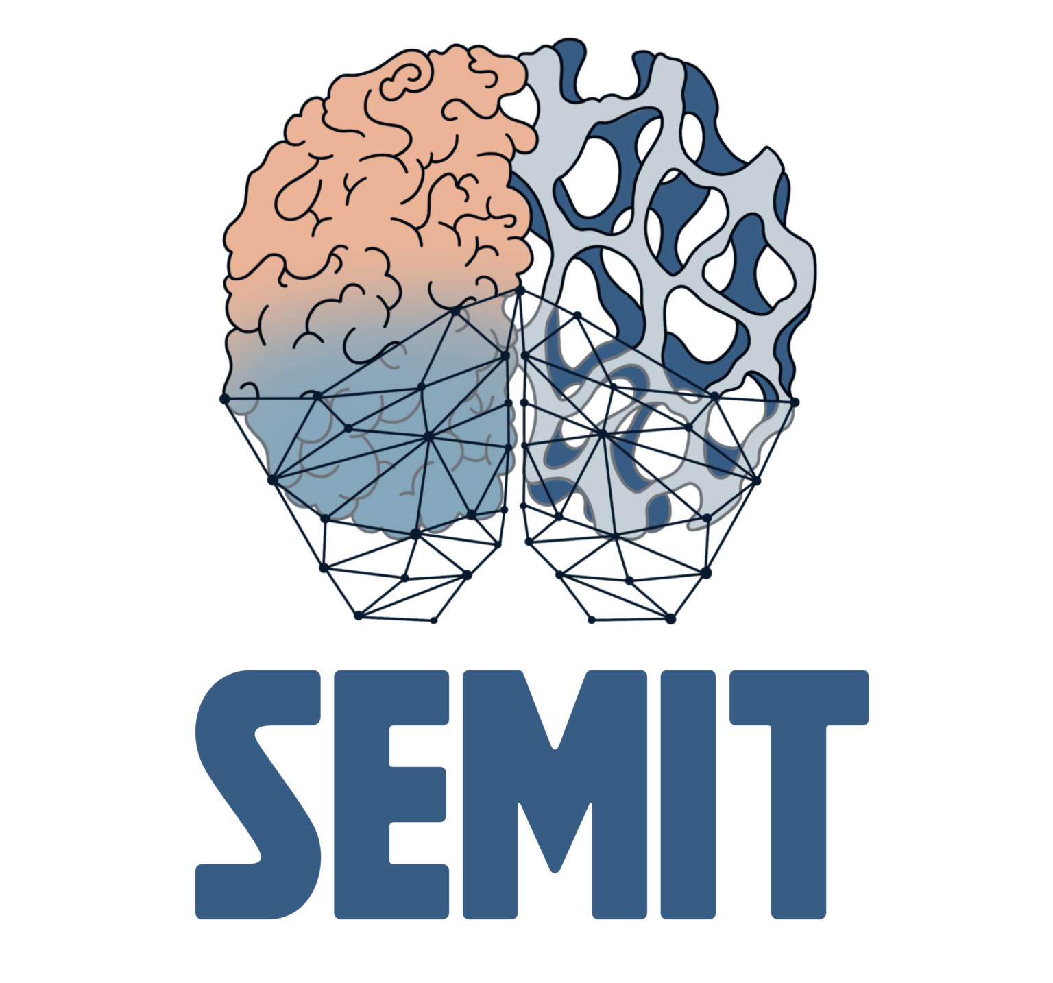 SEMIT2025 – Inaugural Congress Spanish Society for Regenerative ...